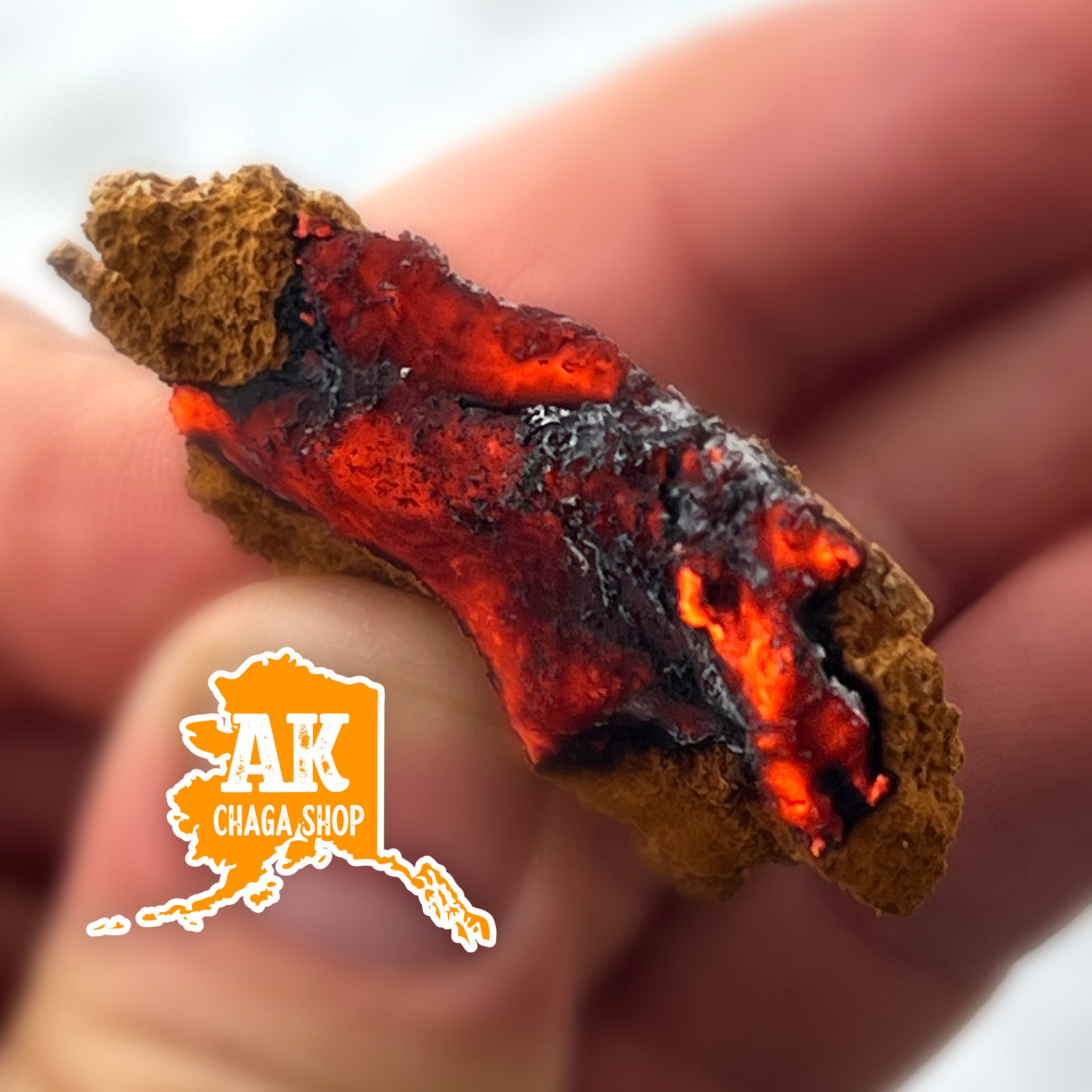 Alaska Chaga Fungus Tinder Bushcraft Flint & Steel Fire Starter (see ...