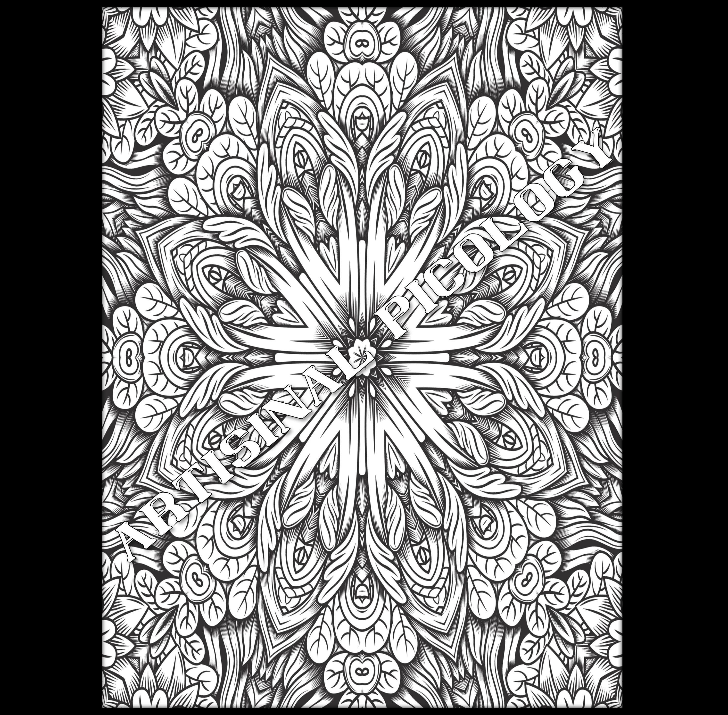 Amazing Intricate Patterns Adult Coloring Pages With 50 Detailed ...