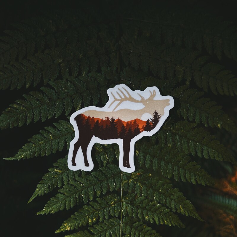 SitkasAndSeas (Dispatched from: Canada) - Etsy Canada