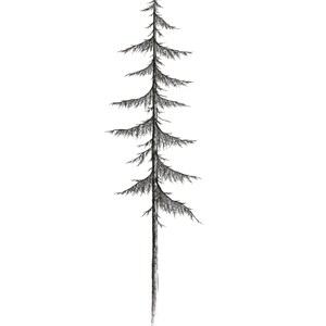 Narrow Pine 8x10 Printable// West Coast Tree Collection// PNW Artwork ...