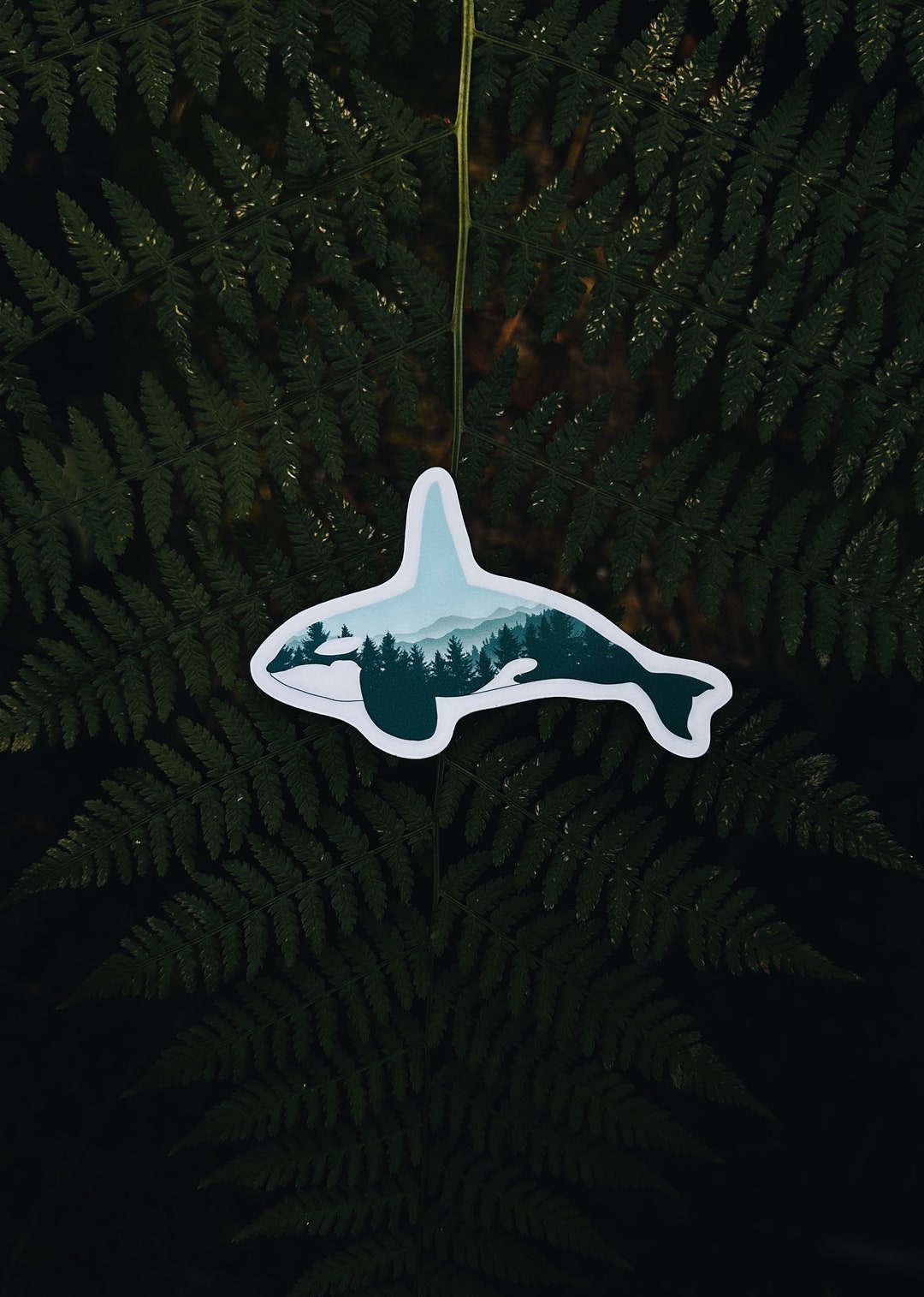 Orca Whale Sticker, West Coast Sticker, Mountain Scene Decal, PNW ...