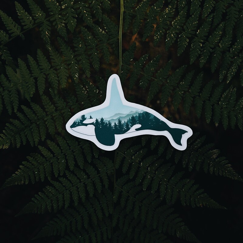 Orca Whale Decal - Etsy