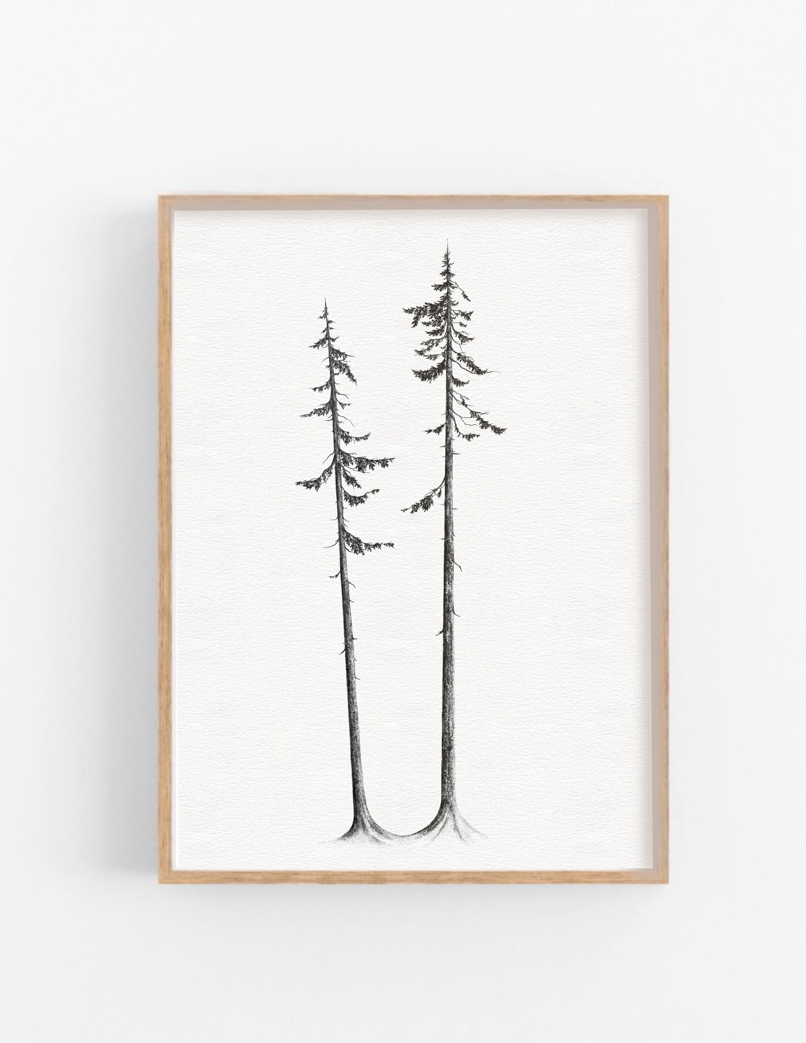 Connectedness Tree Print West Coast Trees Coastal Artwork - Etsy