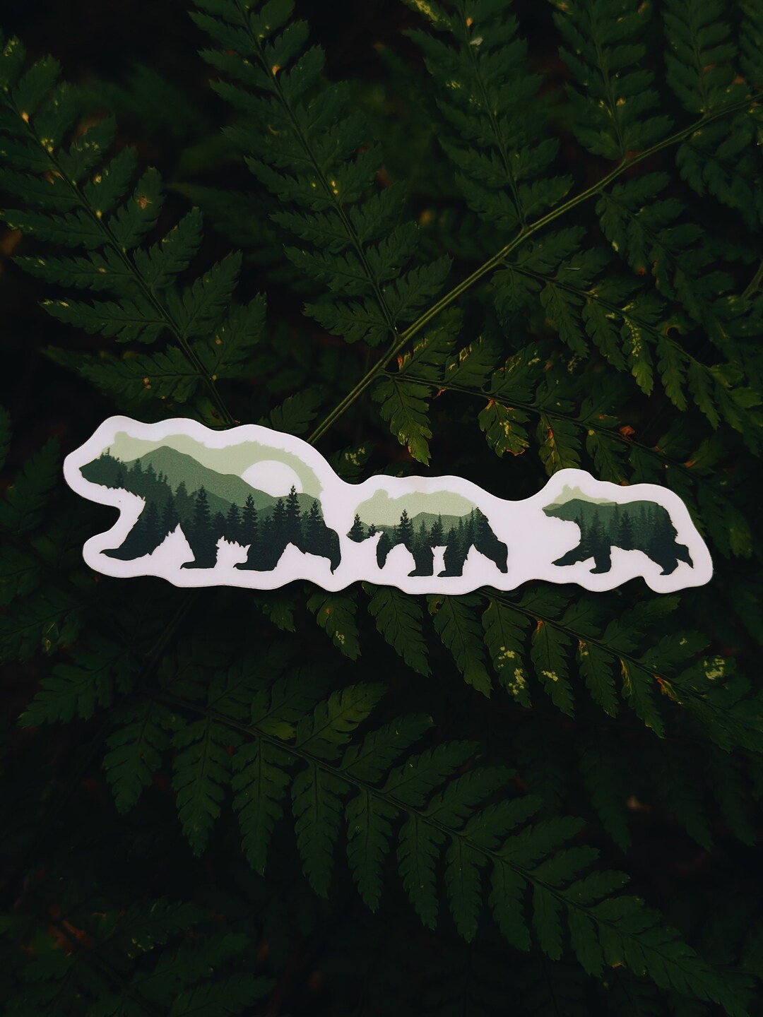 Grizzly Bear Cubs Sticker Mama Grizzly Bear Sticker West - Etsy