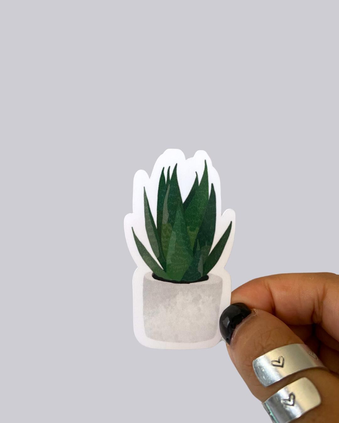 Aloe Vera Plant Waterproof Vinyl Sticker or Magnet | Plant Lover ...