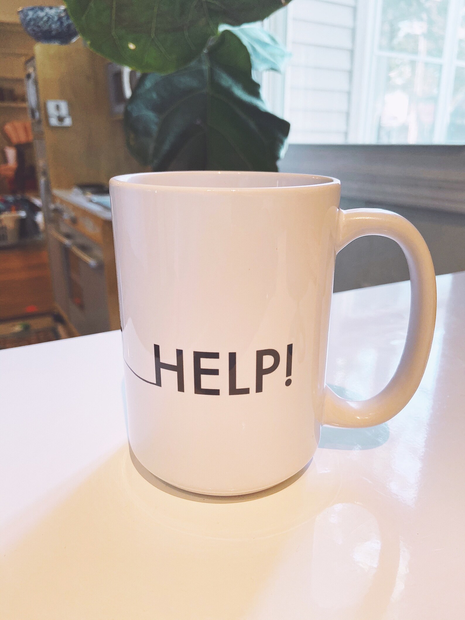 Our Lady Undoer of Knots 15oz Mug - Etsy
