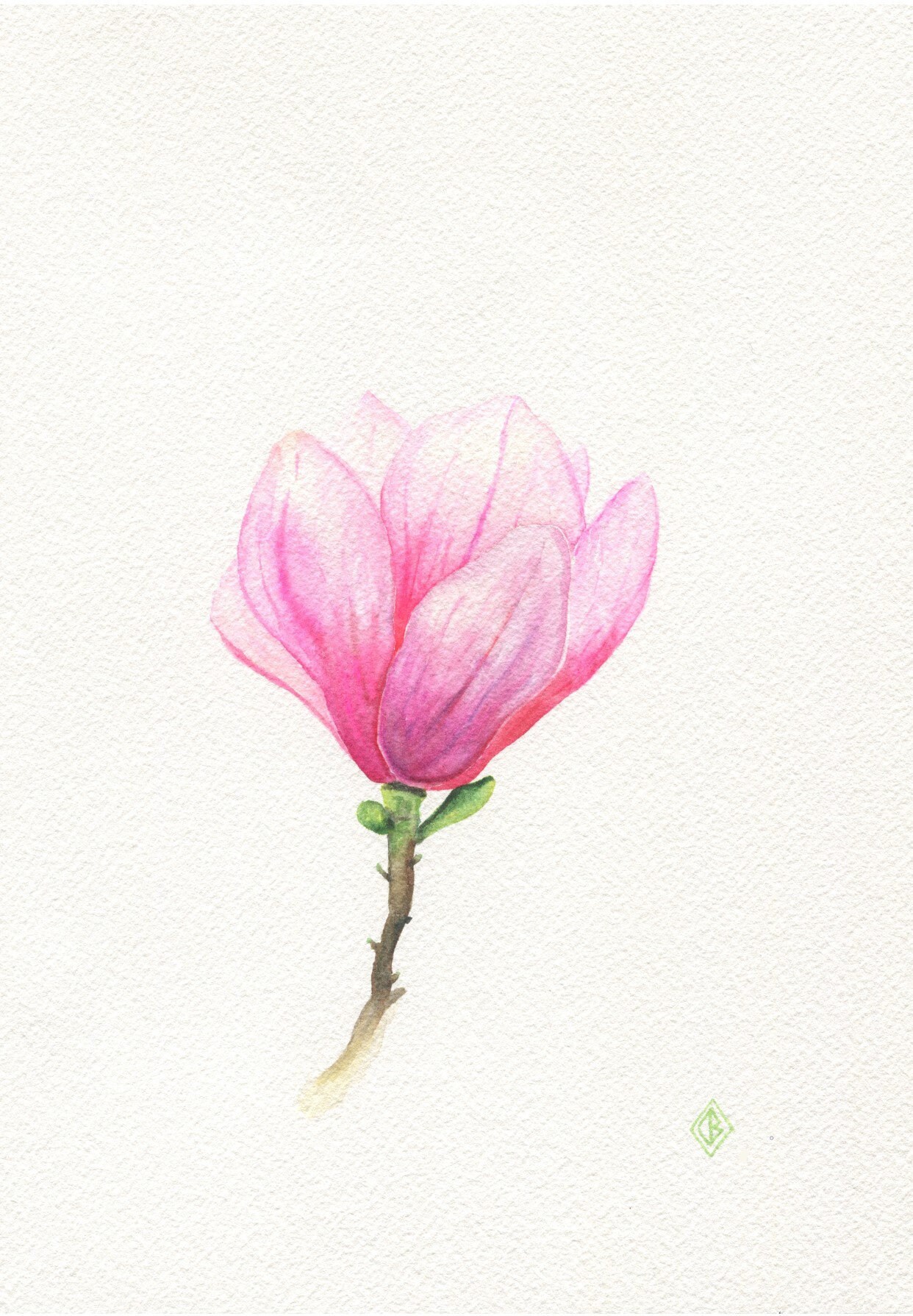 Original Magnolia Watercolor Painting Original Flower | Etsy