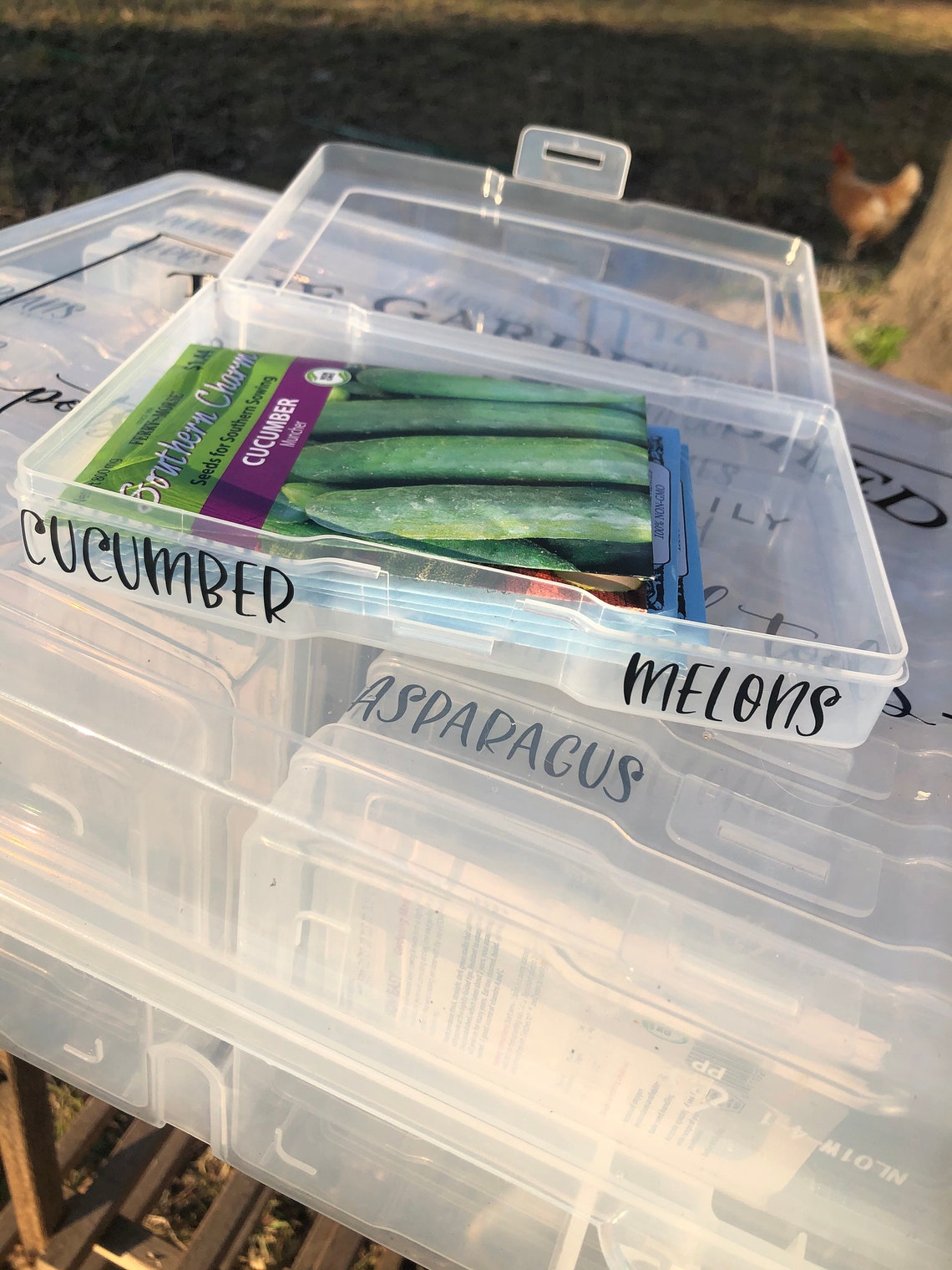 Garden Seed Storage Seed Storage Seed Container Seed - Etsy