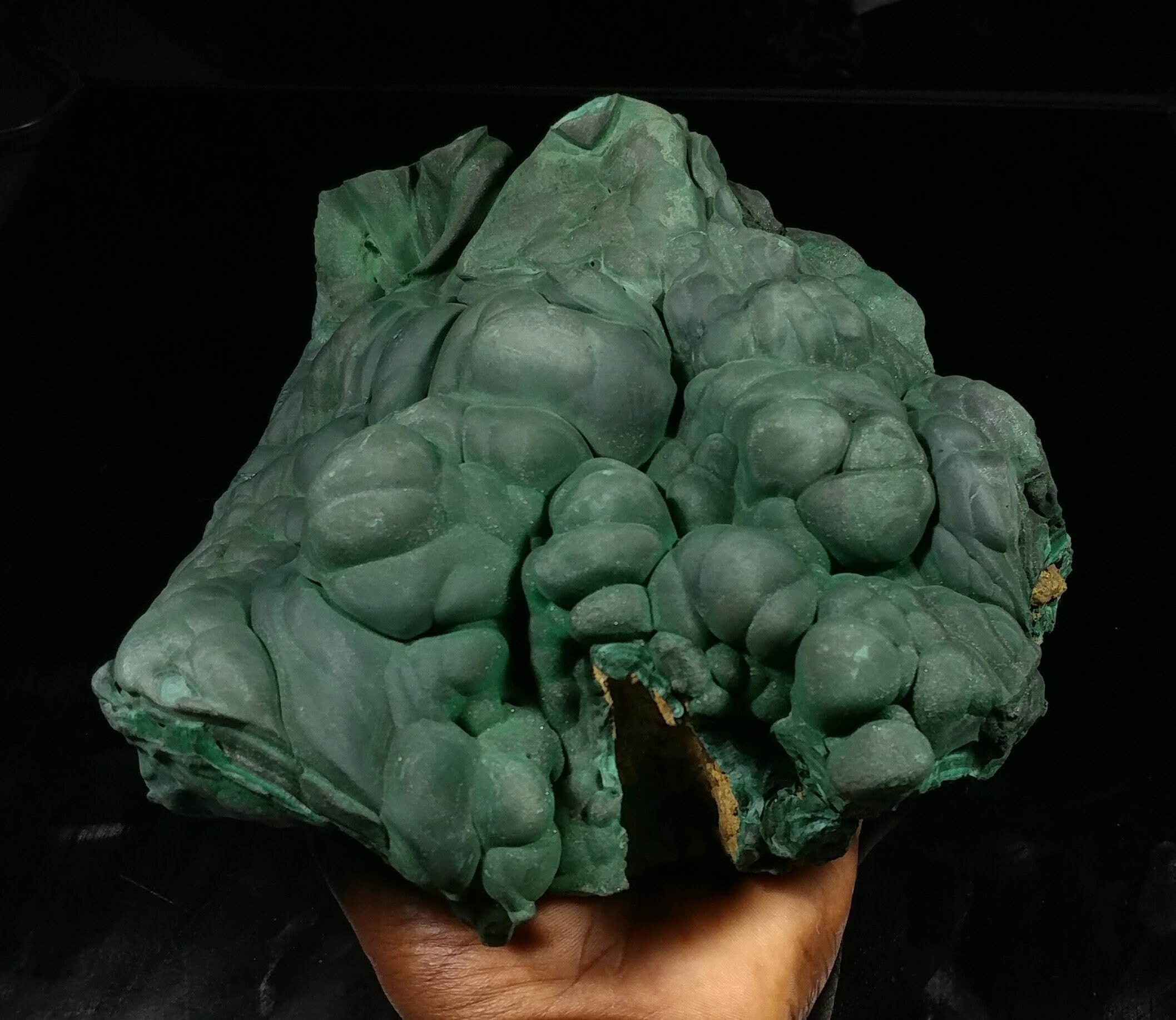 Malachite Botryoidal Specimen | Etsy
