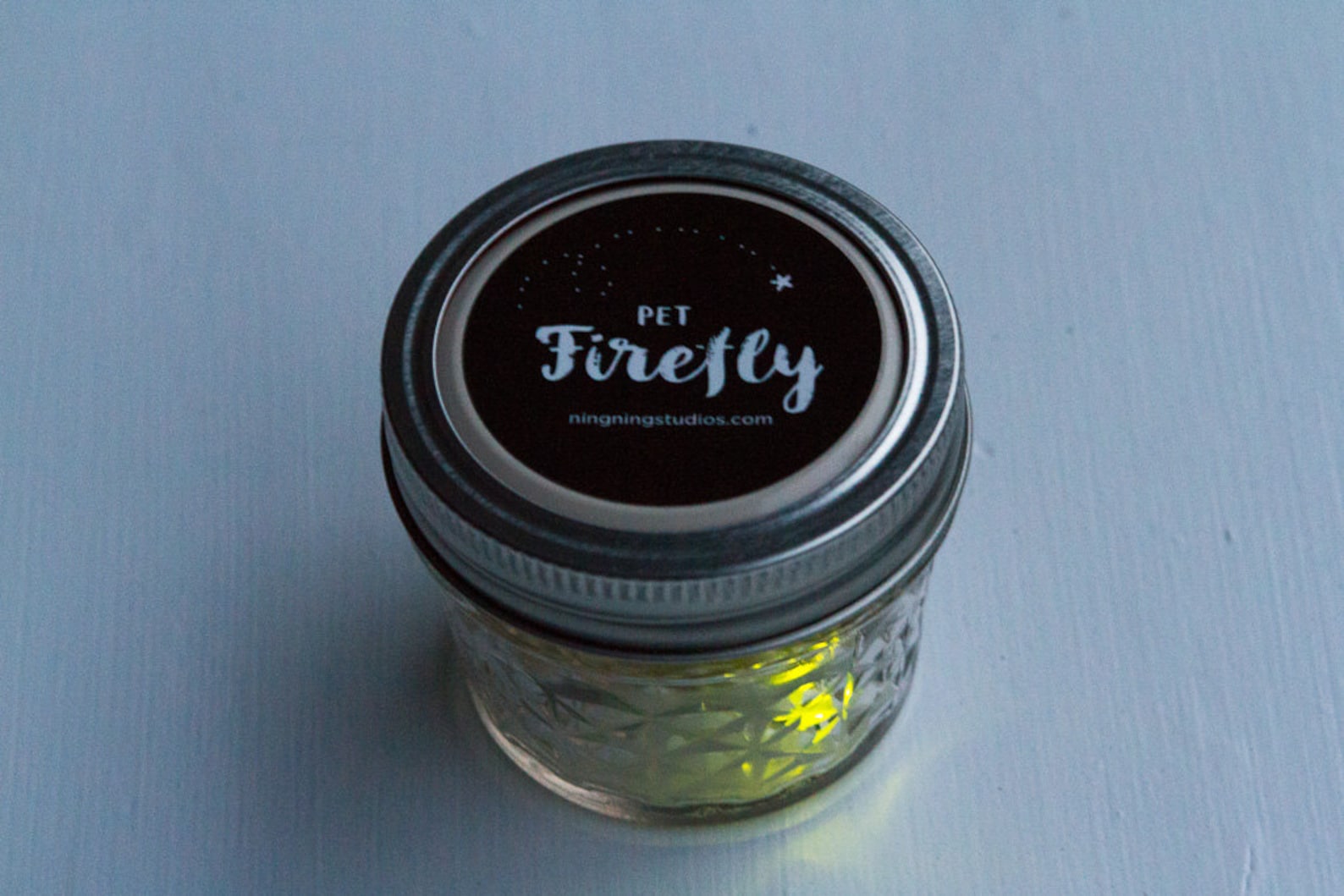 LED Pet Firefly - Etsy