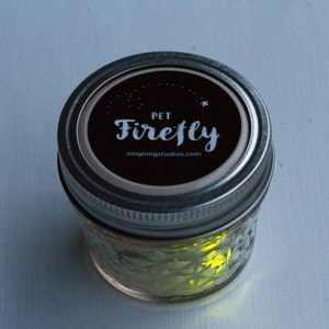 LED Pet Firefly - Etsy