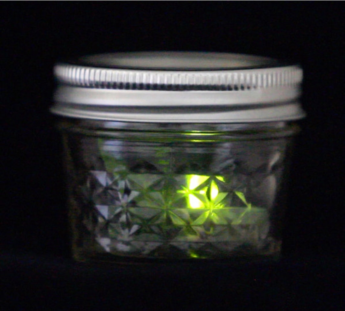 LED Pet Firefly - Etsy