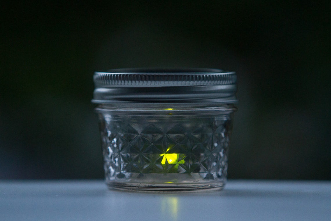 LED Pet Firefly - Etsy