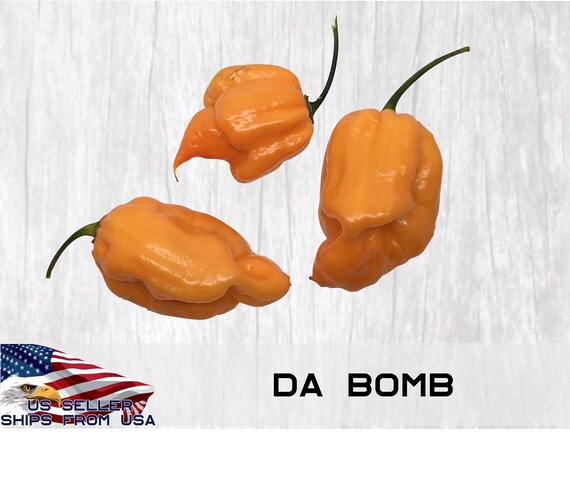 Da Bomb Pepper Seeds 10 Da Bomb Orange Pepper Seeds | Etsy