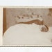 Beautiful Post Mortem, Antique Cabinet Card Photo - Etsy