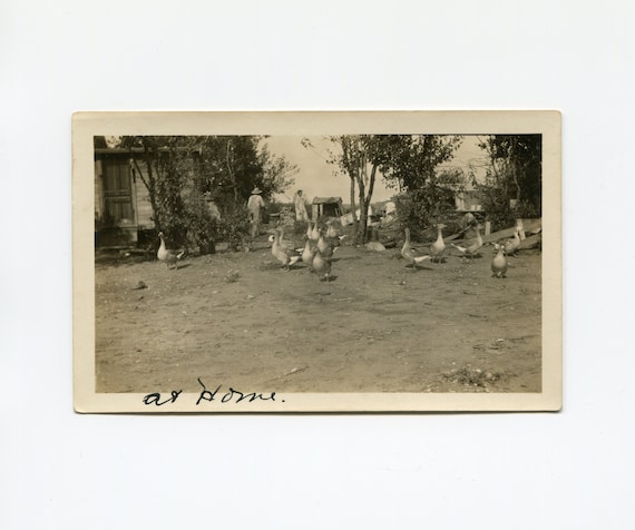 At Home Vintage Snapshot Photo - Etsy