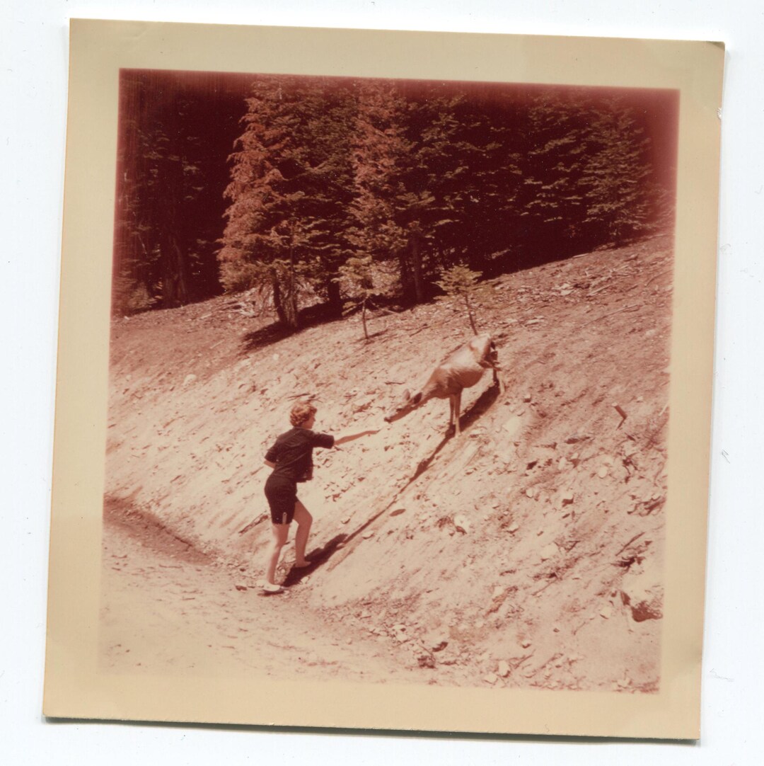 Making Friends, Vintage Snapshot Photo - Etsy