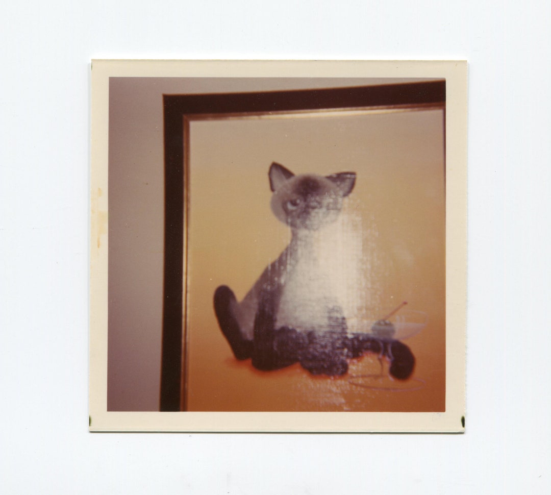 Jack's Painting, Vintage Snapshot Photo - Etsy