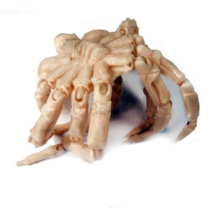 Alien Facehugger Articulated Poseable Cosplay Prop Replica Aliens Face ...