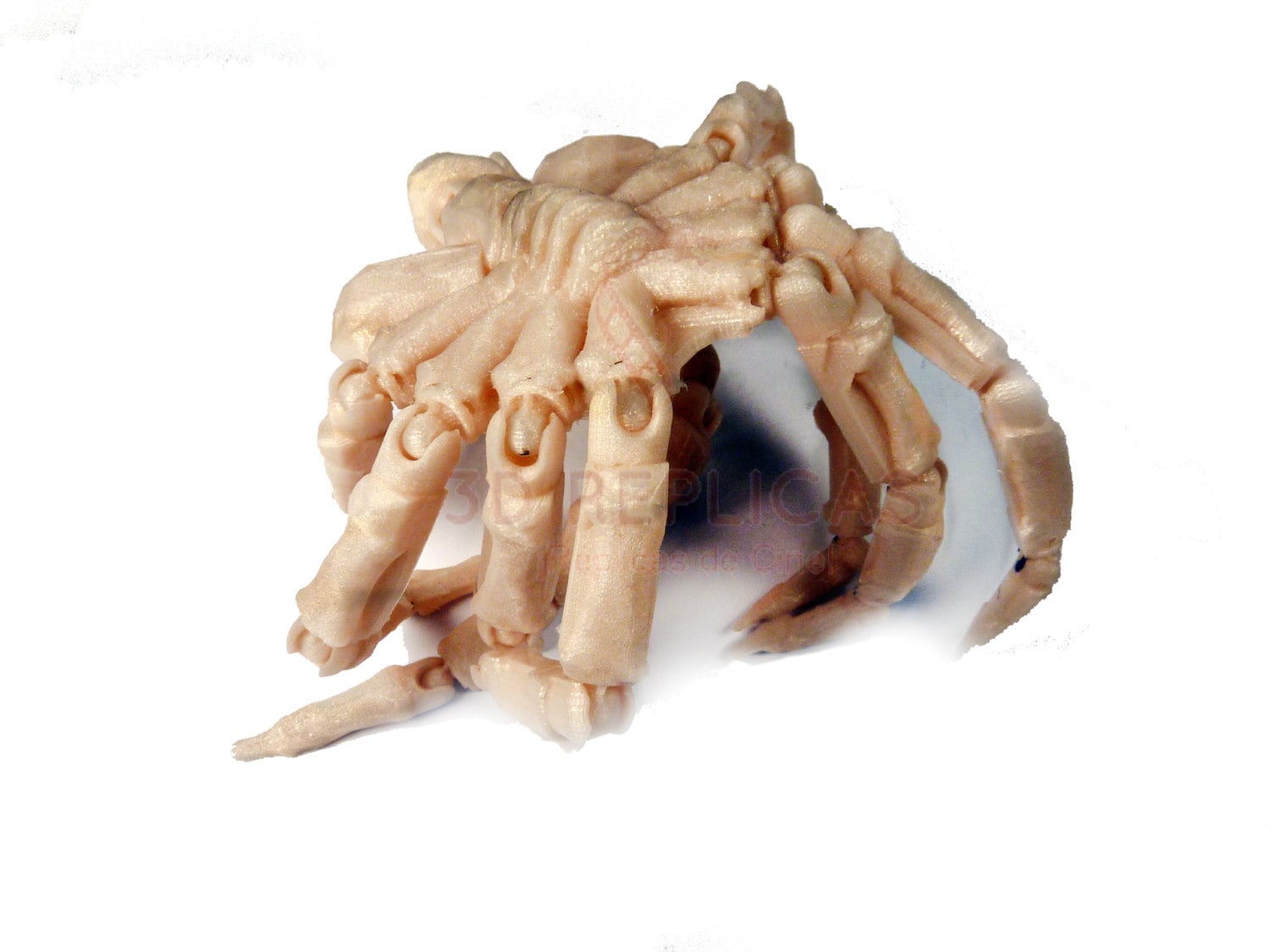Alien Facehugger Articulated Poseable Cosplay Prop Replica Aliens Face ...