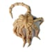 Alien Facehugger Articulated Poseable Cosplay Prop Replica Aliens Face ...