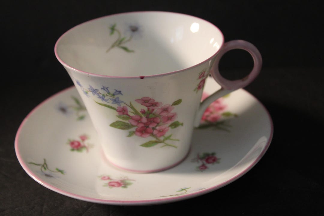 Shelley Teacup & Saucer 