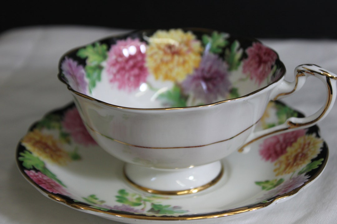 Paragon mums Chrysanthemum Teacup Purple Yellow Pink Mums, Double ...