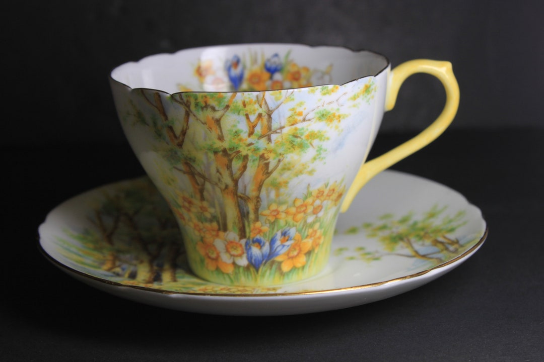 Shelley "daffodil Time" Teacup & Saucer | Vintage Teacup, Yellow Teacup ...