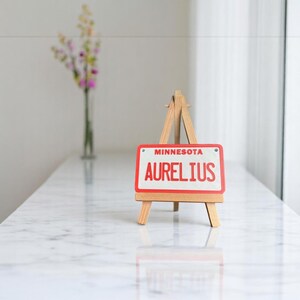 Personalized Mini License Plate, 2.2x3.7 Inch - Perfect Fit for Cozy ...
