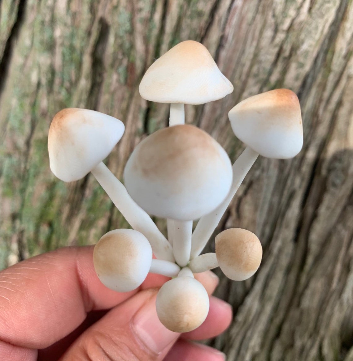 1 Set Of 7 Mushrooms Various Sizes Handmade Miniature Tiny | Etsy