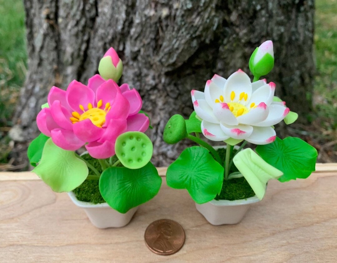 Miniatures Lotus Water Lily in the Pot Hand Sculpted Clay Flowers Home ...