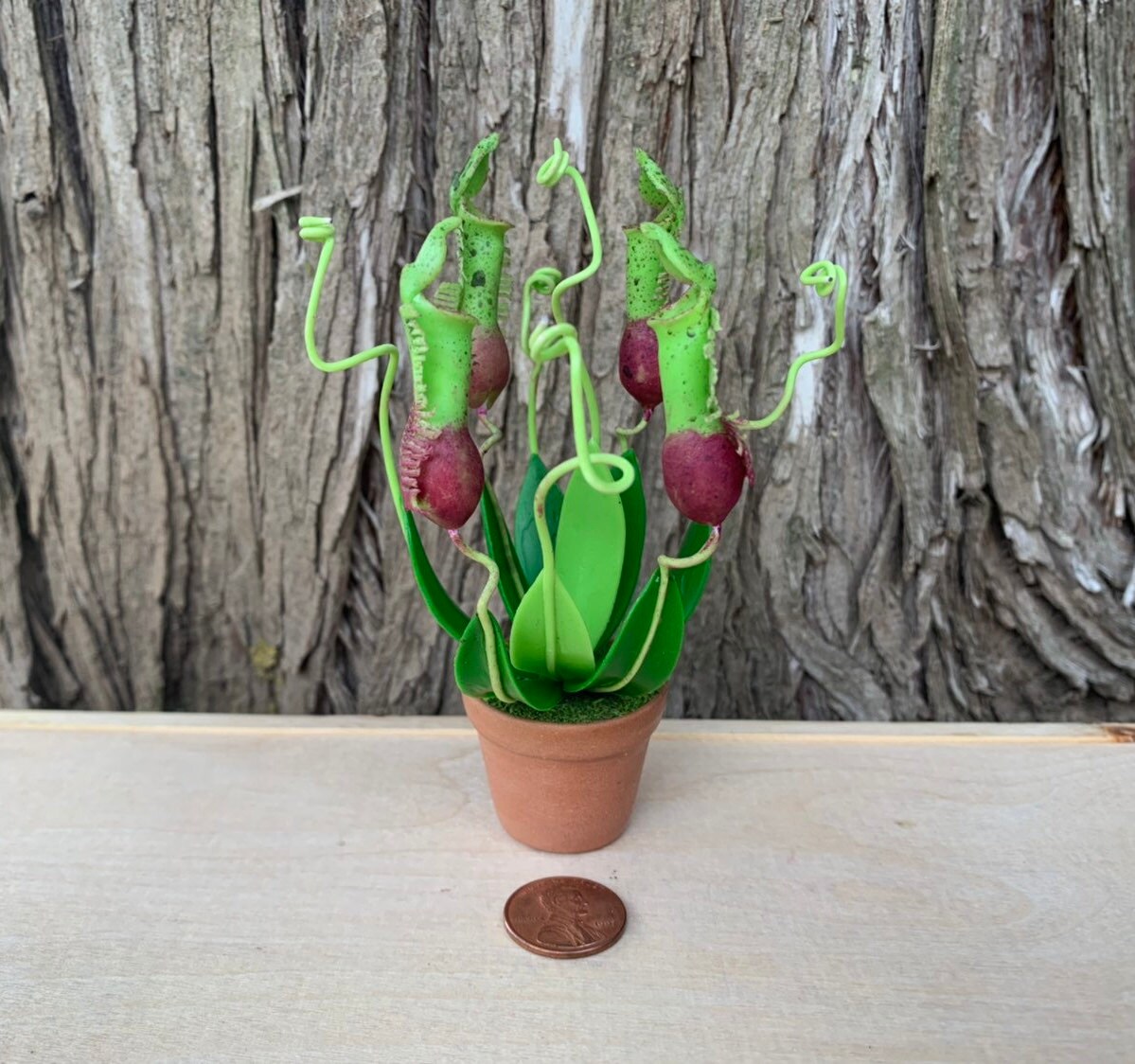 Art Objects Handmade Clay Flowers Mini Pitcher Plant Green Cute ...