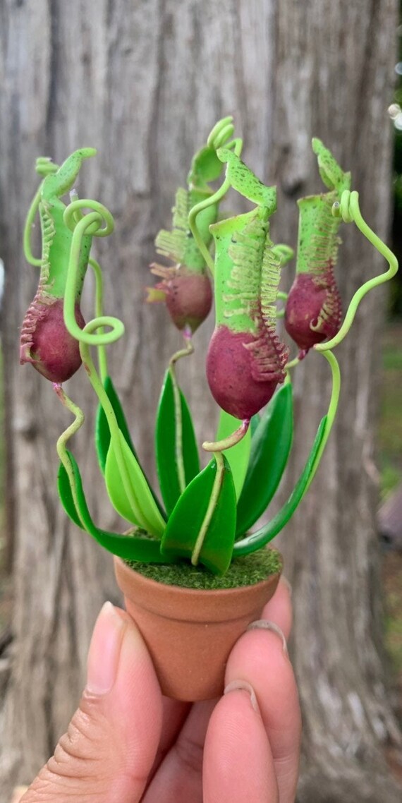 Art Objects Handmade Clay Flowers Mini Pitcher Plant Green Cute ...