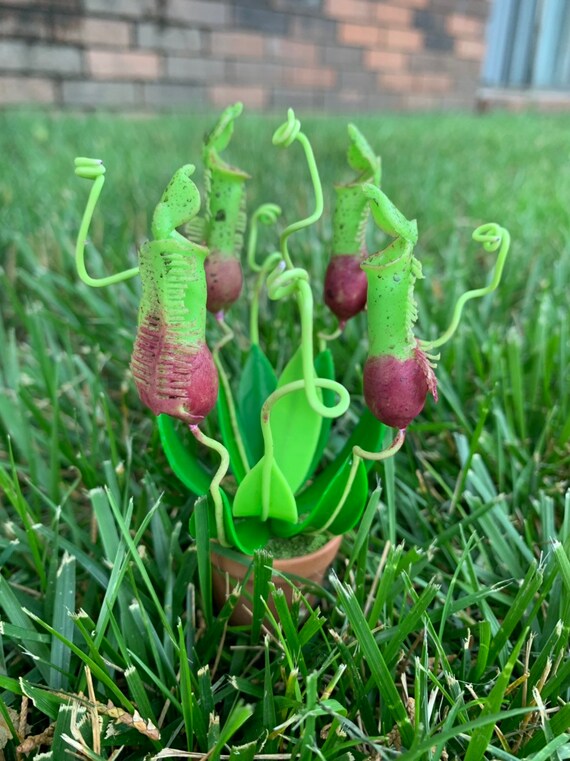 Art Objects Handmade Clay Flowers Mini Pitcher Plant Green Cute ...
