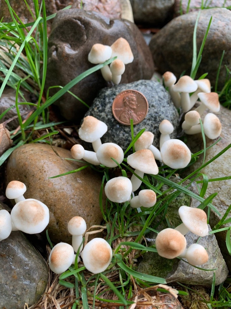 3 Sets of Miniatures Clay Tiny Mushroom Cute Hand Painted | Etsy