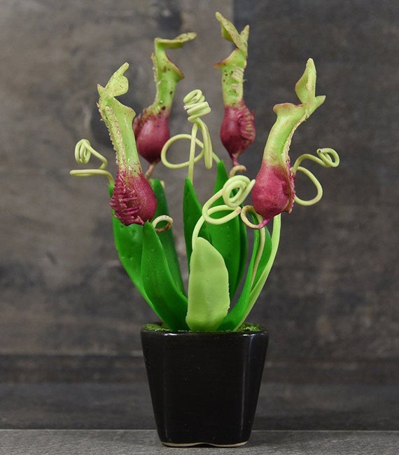 Art Objects Handmade Clay Flowers Mini Pitcher Plant Green Cute ...