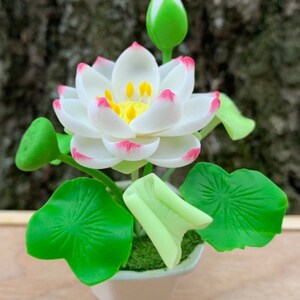 Miniatures Lotus Water Lily in the Pot Hand Sculpted Clay Flowers Home ...