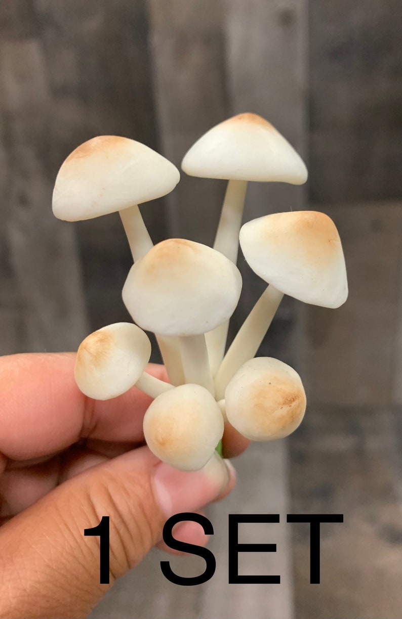 1 Set of 7 Mushrooms Various Sizes Handmade Realistic Cute - Etsy