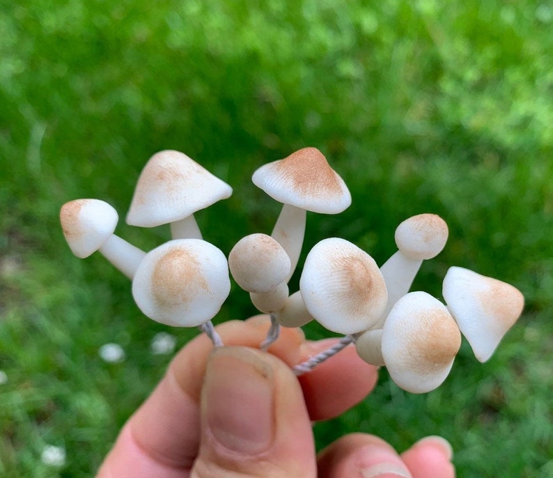 3 Sets of Miniatures Clay Tiny Mushroom Cute Hand Painted | Etsy