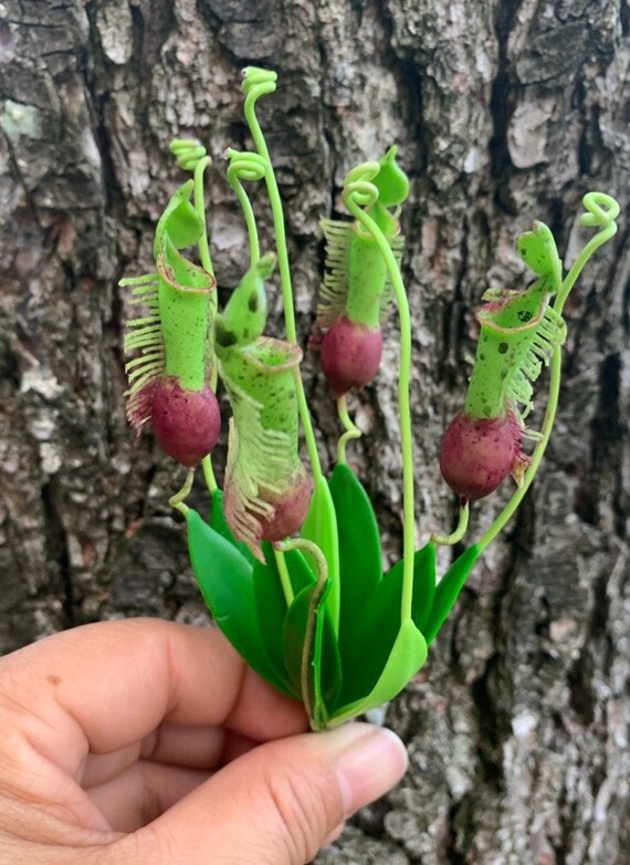 Art Objects Handmade Clay Flowers Mini Pitcher Plant Green Cute ...