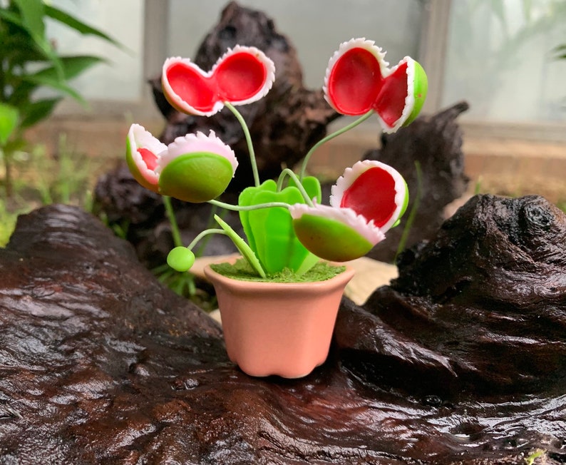 Handmade Clay Flowers Mini Venus Flytrap Cute Carnivorous - Etsy