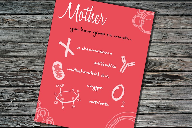Science Mother's Day Card | Womb Biology Humor | Scientist, Professor ...