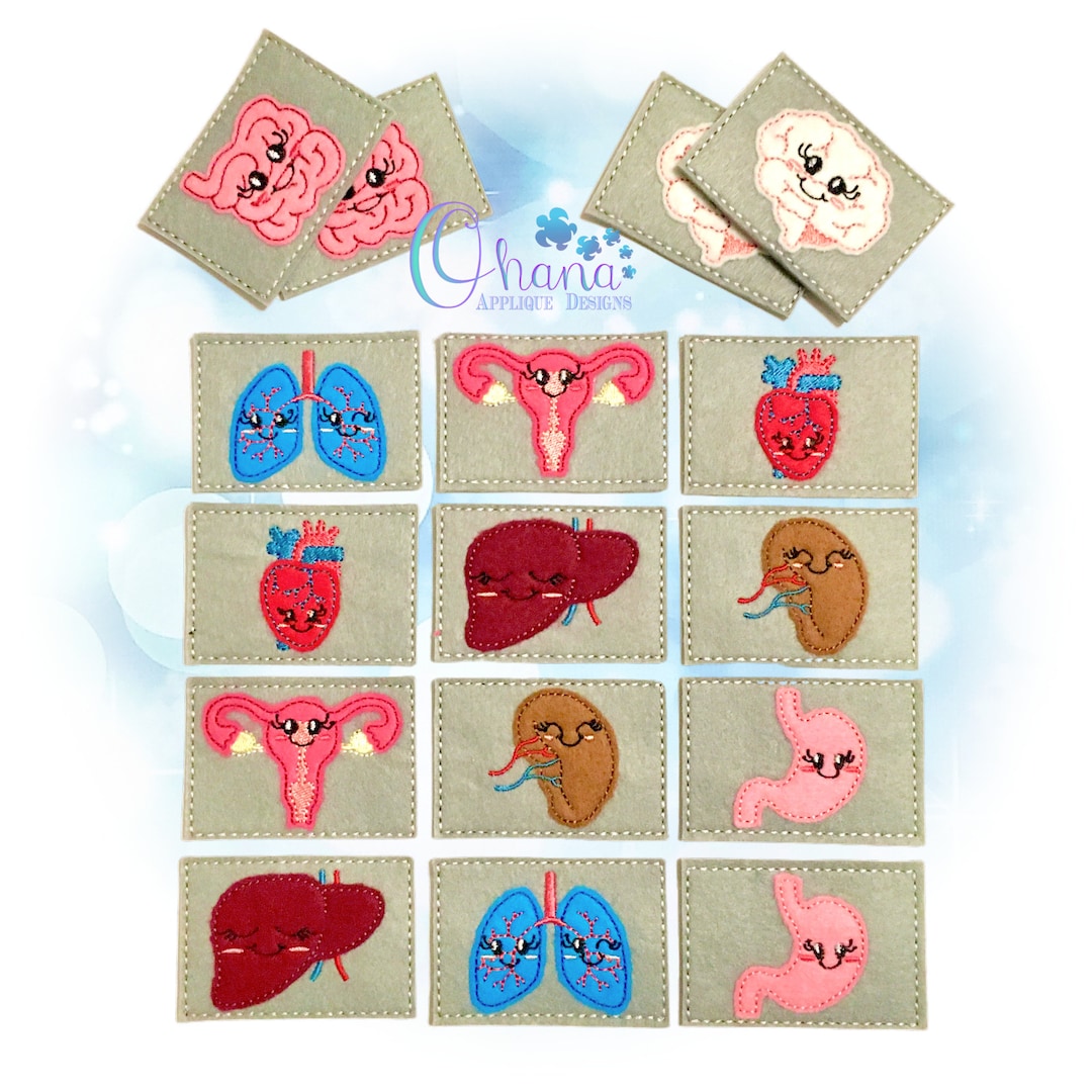 Anatomy Matching Card Game in the Hoop Machine Embroidery Design - Etsy