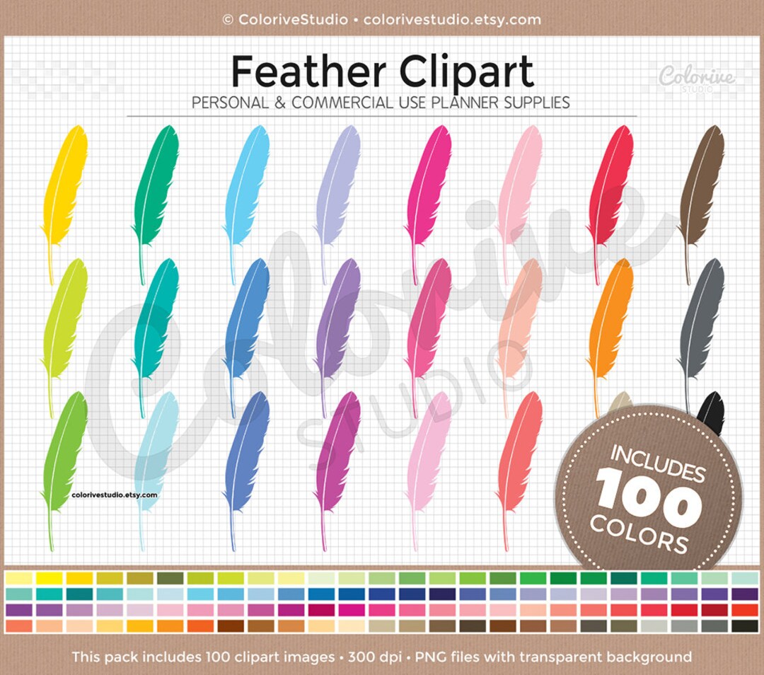 100 Feather Clipart in Rainbow Colors Solid Feathers Png - Etsy