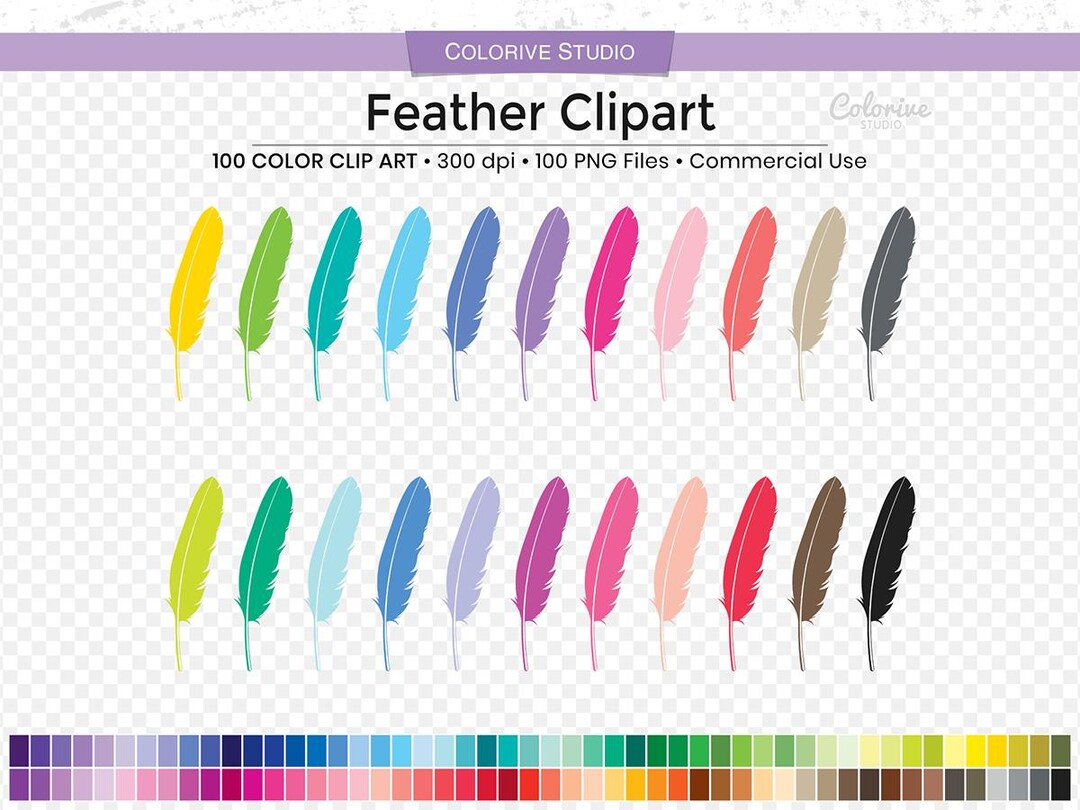 100 Feather Clipart in Rainbow Colors Solid Feathers Png Clip Art ...