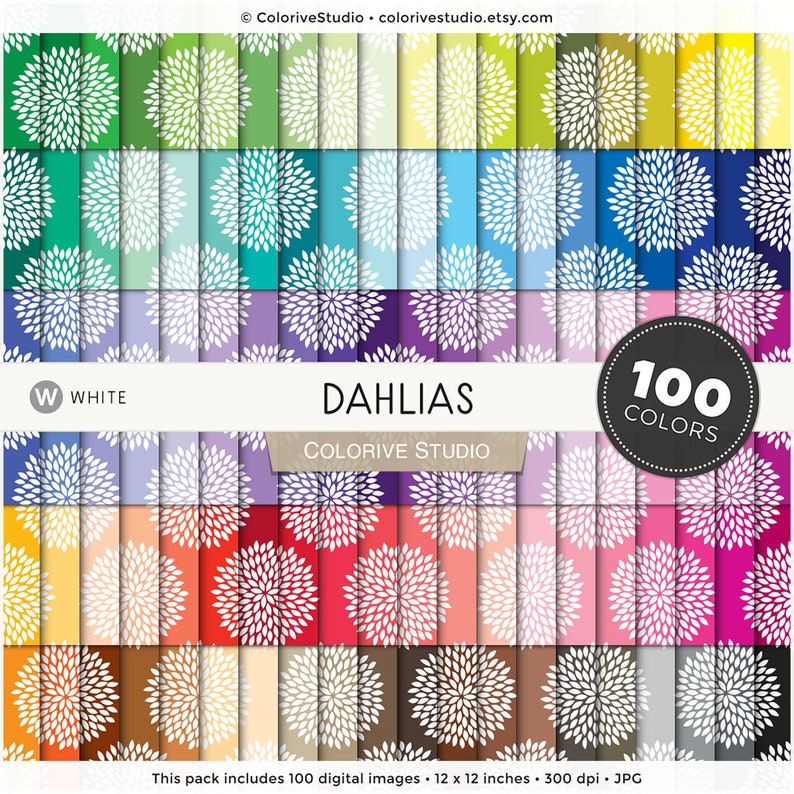 Dahlias Digital Paper 100 Rainbow Colors White Dahlia Flower - Etsy