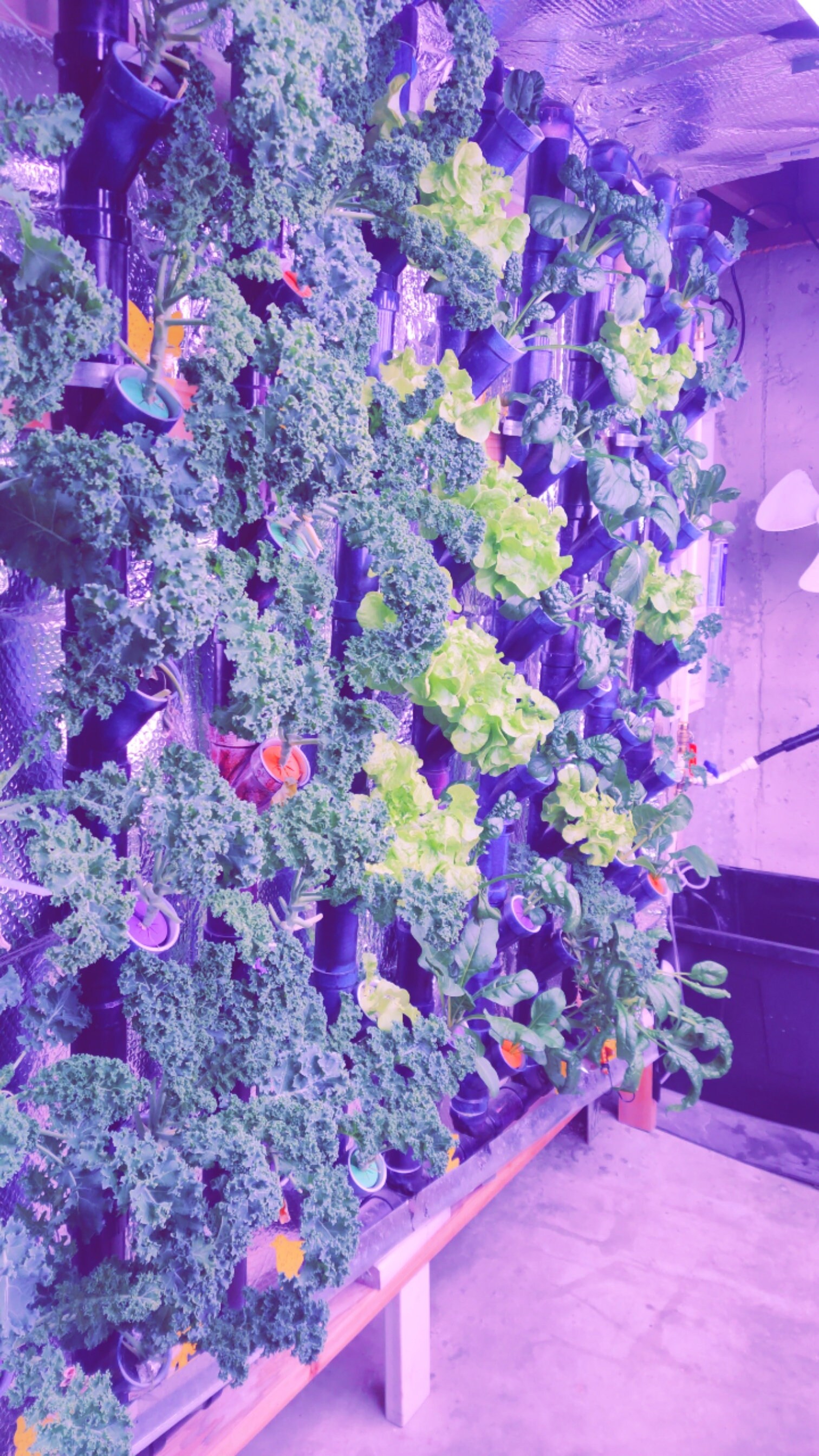 Hydroponic Plans 50 Pages Vertical Hydroponics Tutorial DIY - Etsy