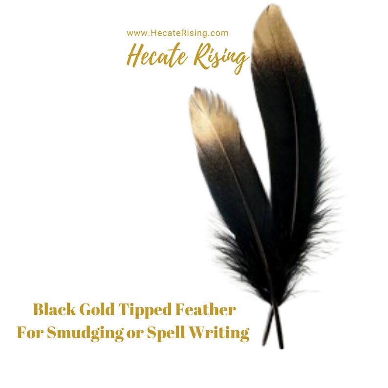 Mystical Feathers for Smudging or Spell Writing - Etsy