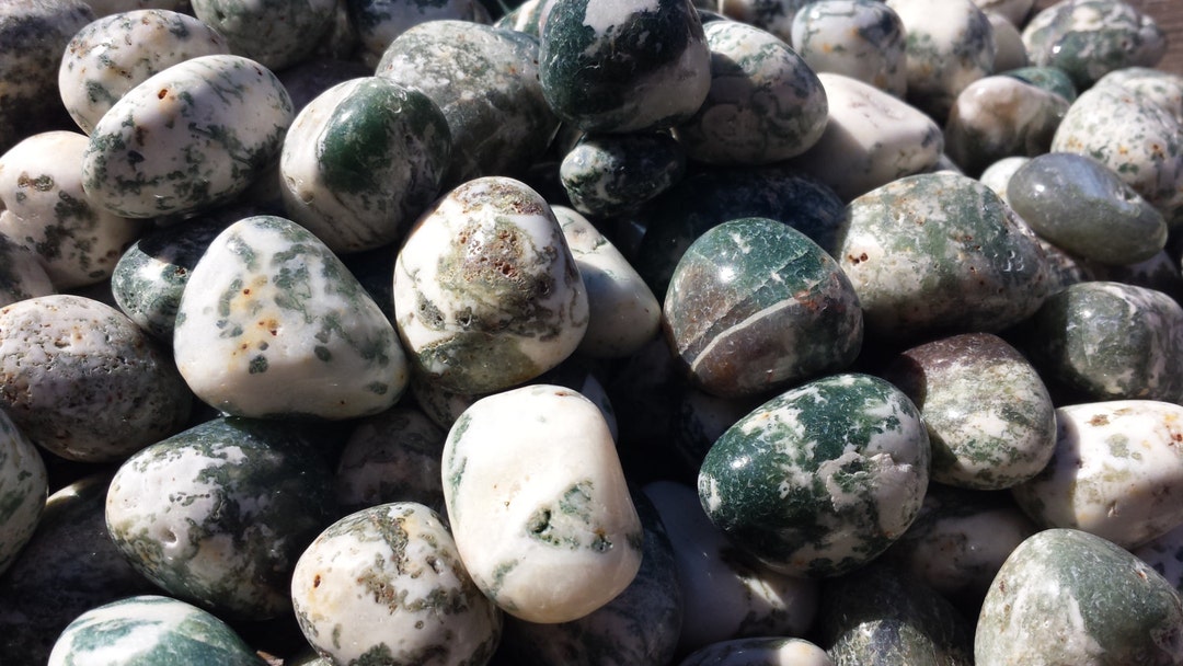 TREE AGATE TUMBLED Stone One (1) Medium/large Natural Tumble Stone - Etsy
