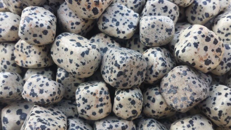 DALMATIAN JASPER Tumbled Stone One 1 Medium Natural Tumble | Etsy